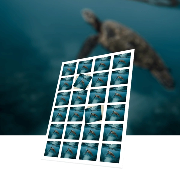 Personalised Stickers | Custom Stickers | Specialist Print